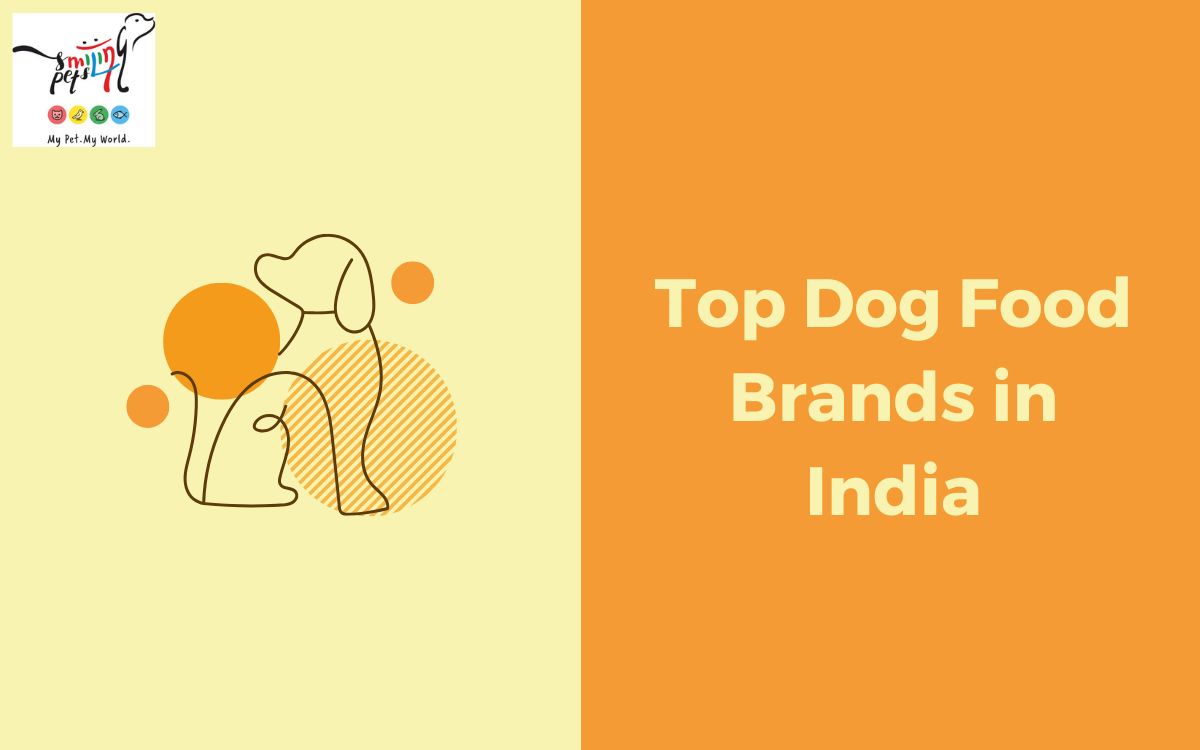 Top Dog Food Brands in India - All Details