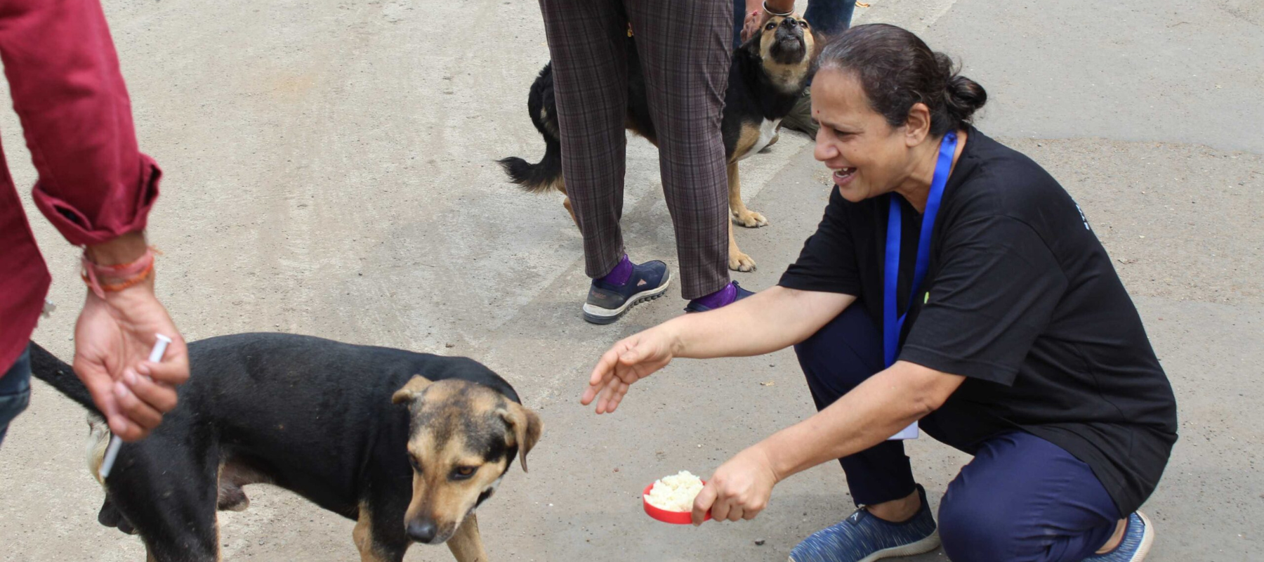 Stray Happy Animal Foundation